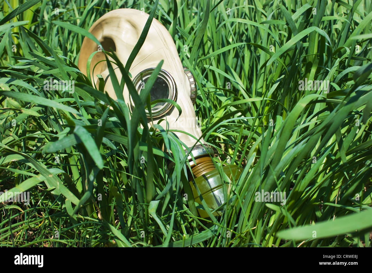 Masks in nature hi-res stock photography and images - Alamy