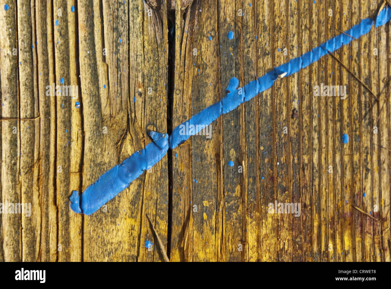 Blue splash of color on boards Stock Photo - Alamy