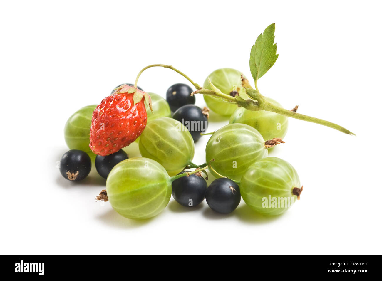 Black gooseberries hi-res stock photography and images - Alamy