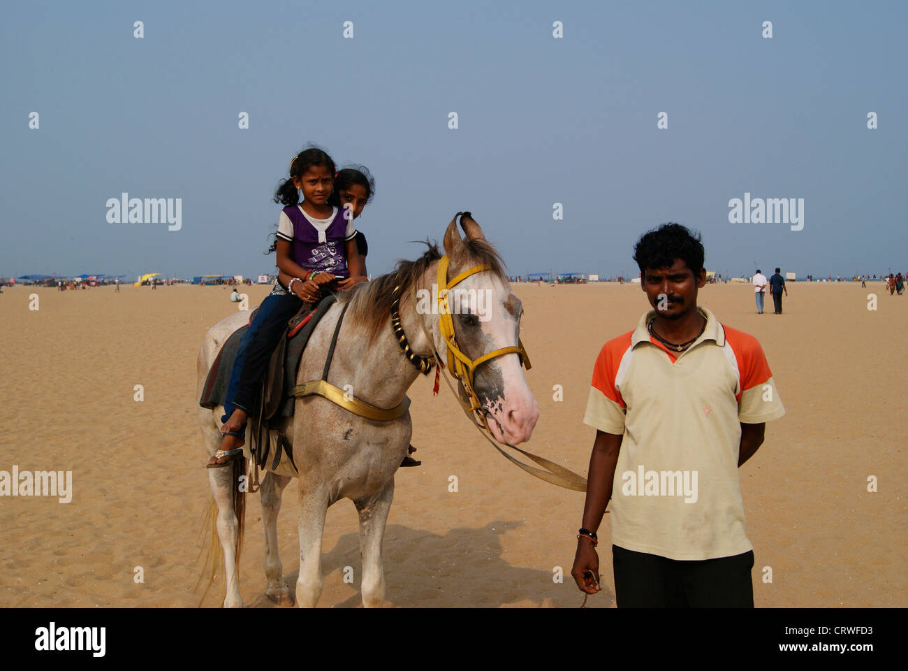 Horse Riding children on beach shores.A Scene from chennai marina beach ...