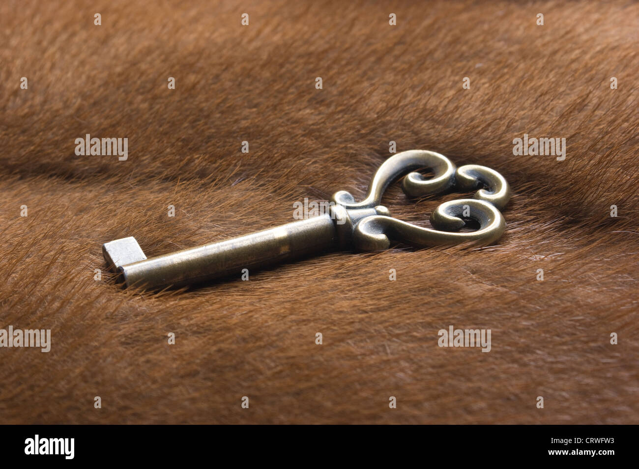 Old fashioned brass key hi-res stock photography and images - Alamy