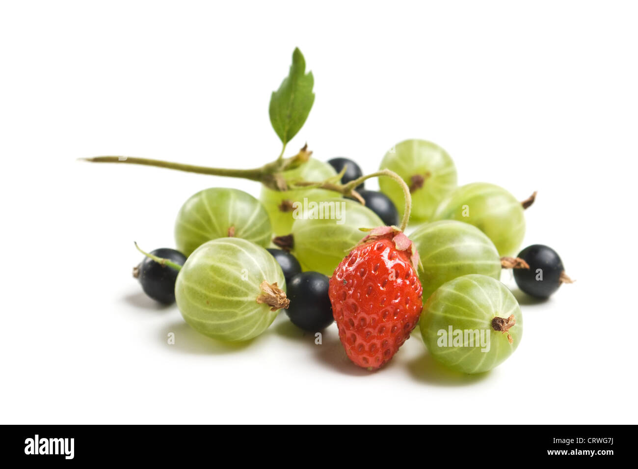 Black gooseberries hi-res stock photography and images - Alamy