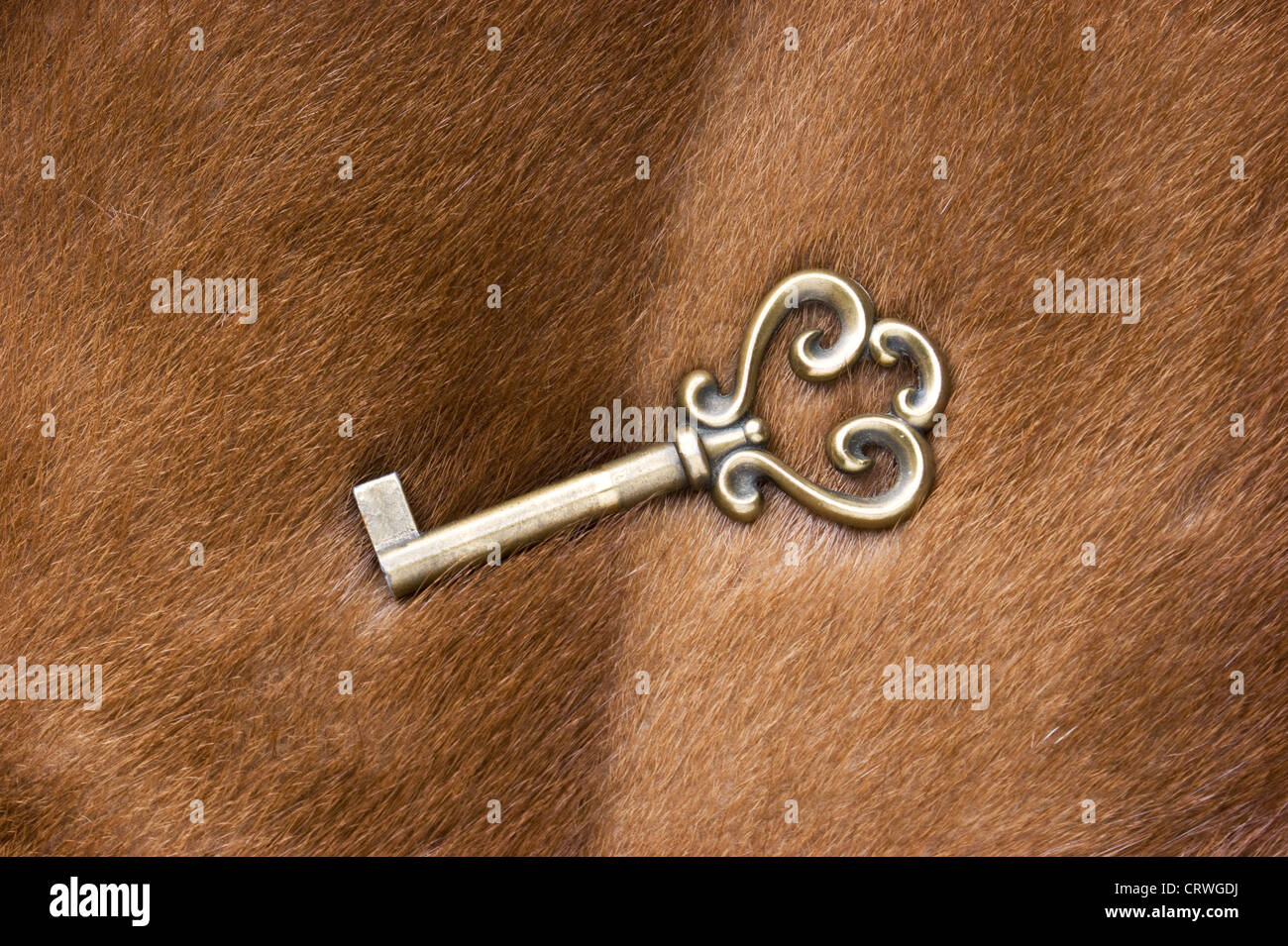 Old fashioned brass key hi-res stock photography and images - Alamy