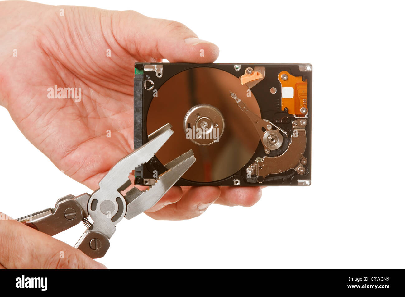 Open hard drive in hand Stock Photo - Alamy