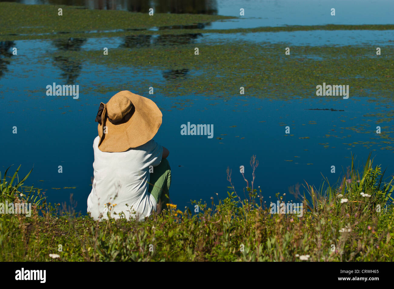 Whiteshell Manitoba Canada Stock Photo - Alamy
