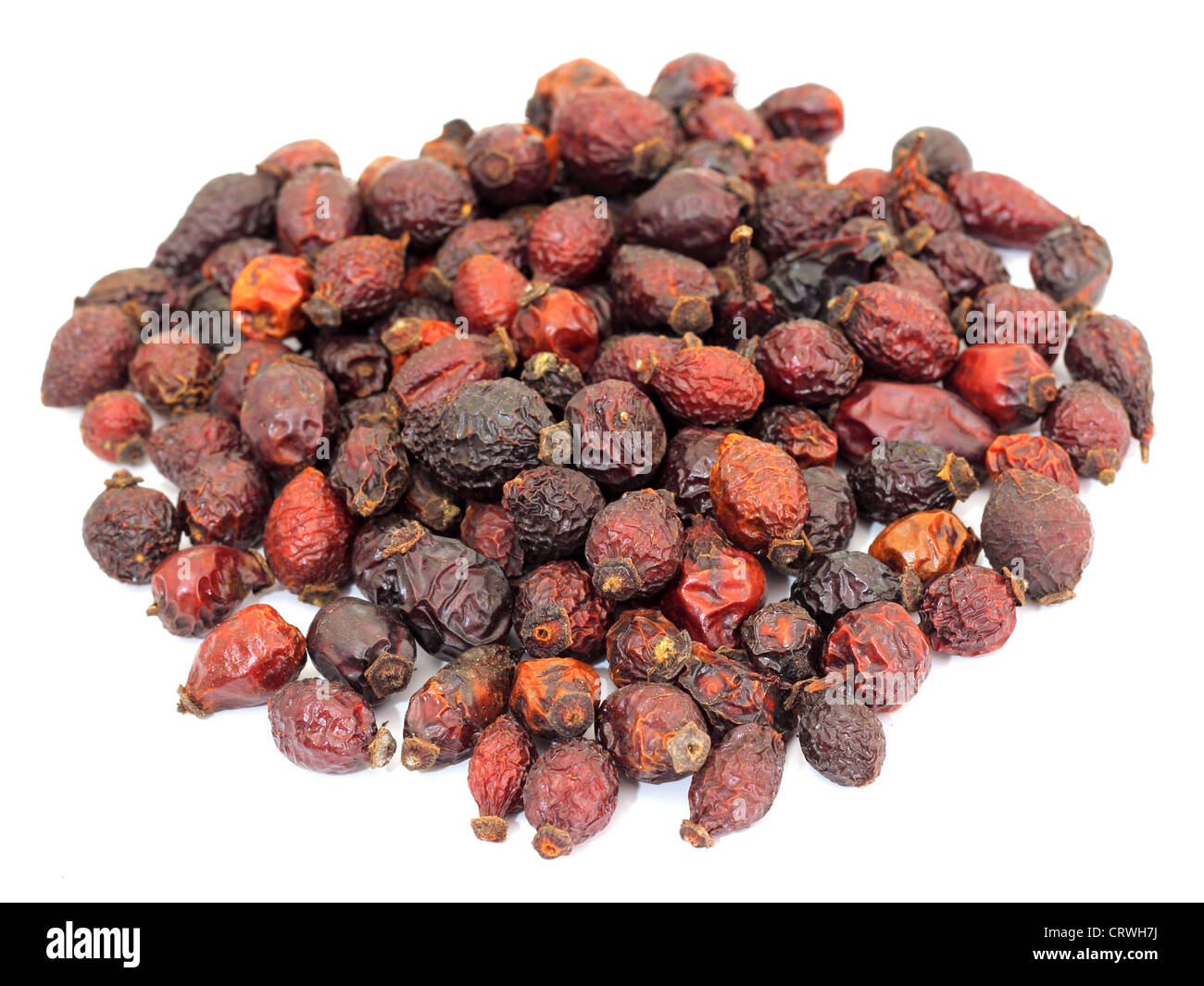 Dry briar isolated on white background Stock Photo - Alamy