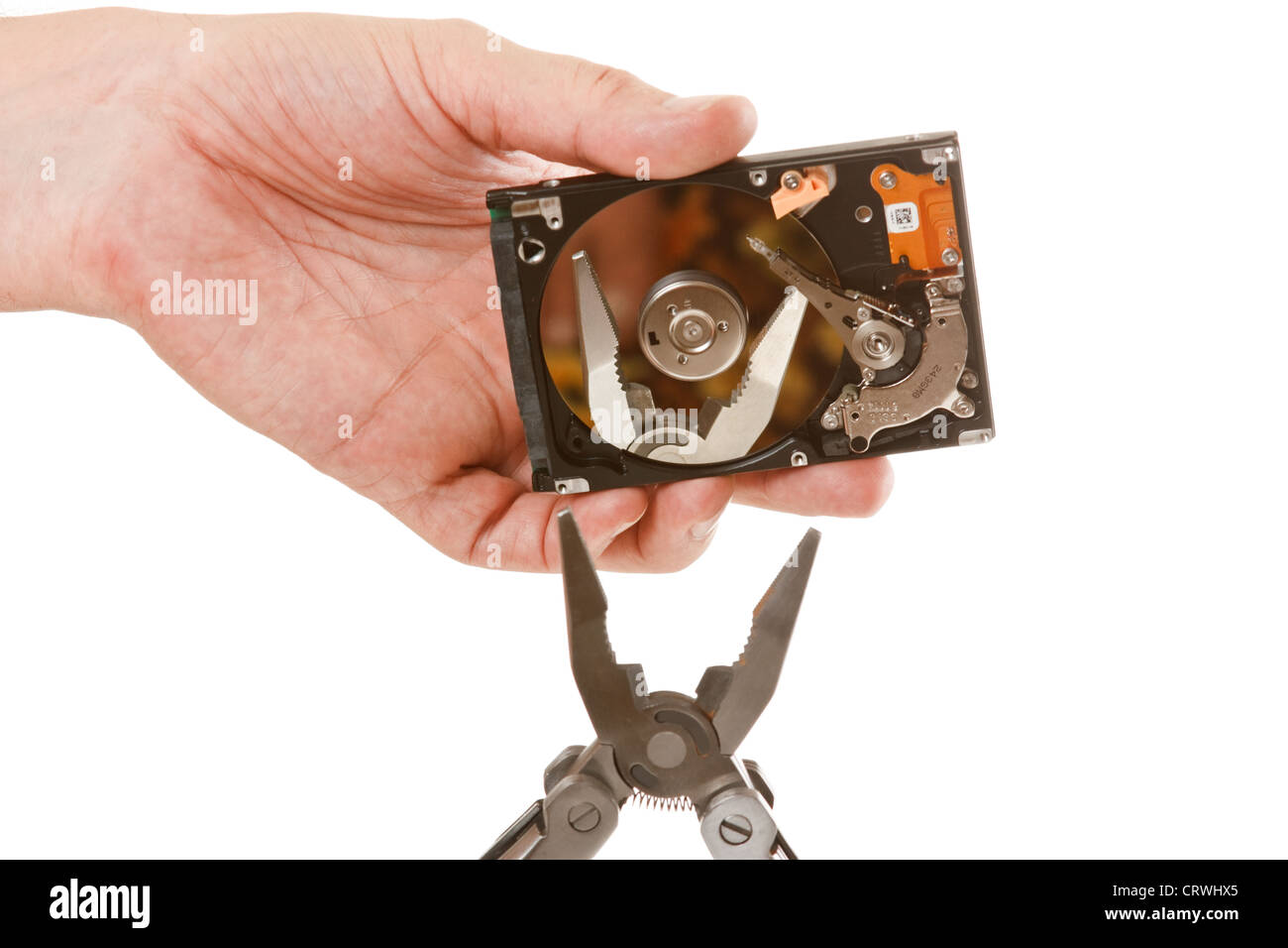 Open hard drive in hand Stock Photo - Alamy