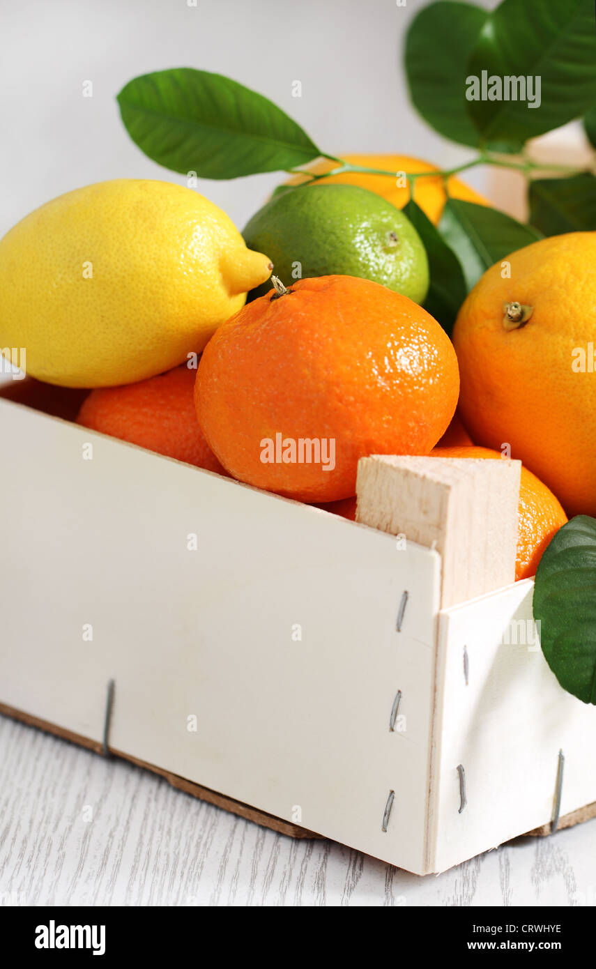 Fresh citrus fruits Stock Photo - Alamy