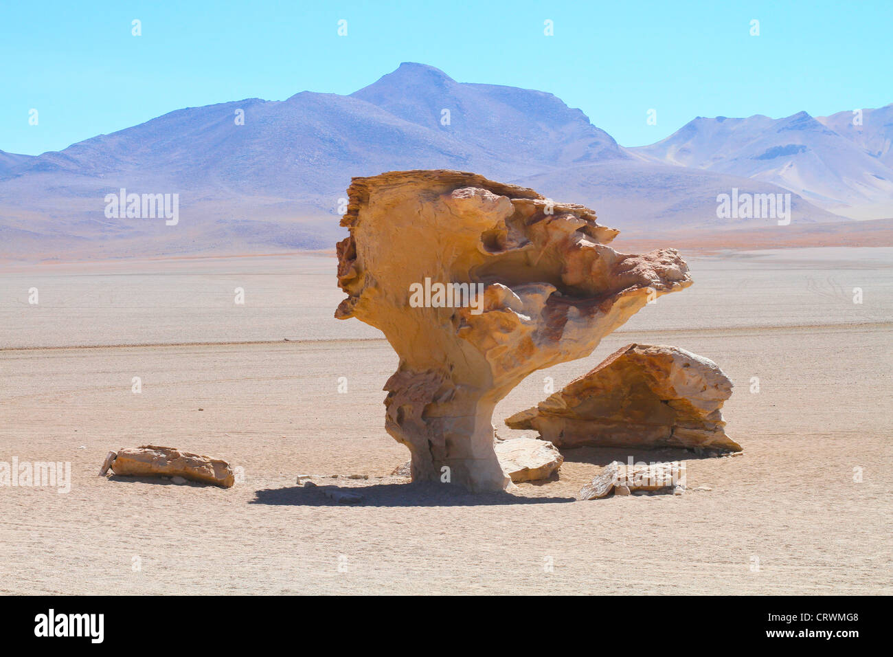 Stone rock formation - Arbol de piedra, Bolivia Stock Photo - Alamy