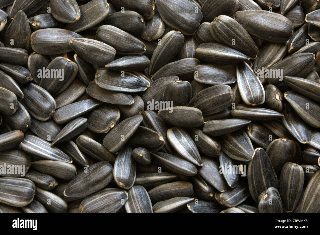 Fried sunflower black seeds hi-res stock photography and images - Alamy