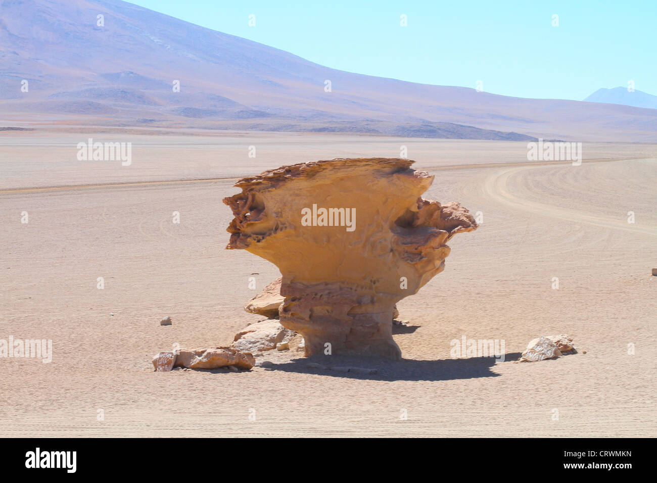 Stone rock formation in Bolivia - Arbol de piedra Stock Photo - Alamy