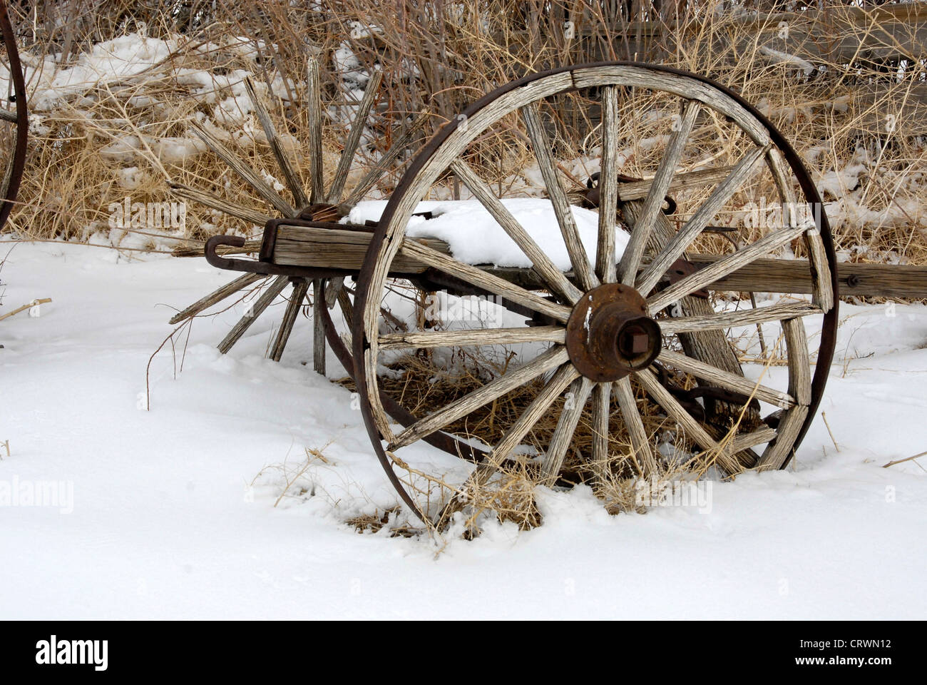 Wagon wheels at a ranch in wintry Carson Valley, Nevada, USA Stock ...