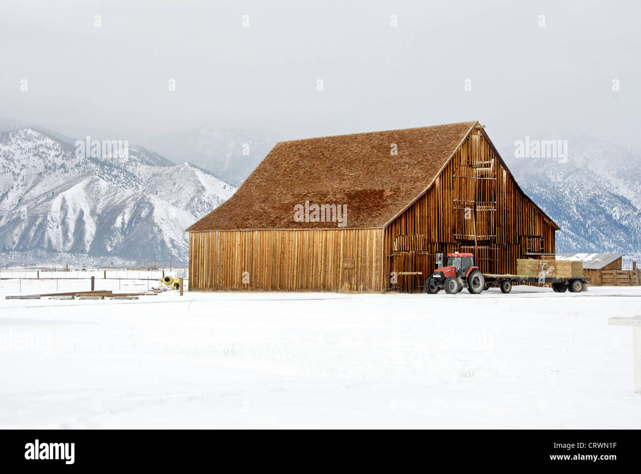Nevada cattle ranch hi-res stock photography and images - Alamy