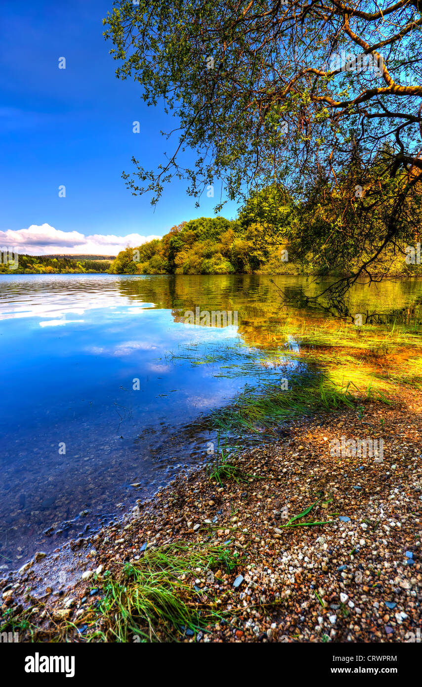 Burrator lake hi-res stock photography and images - Alamy