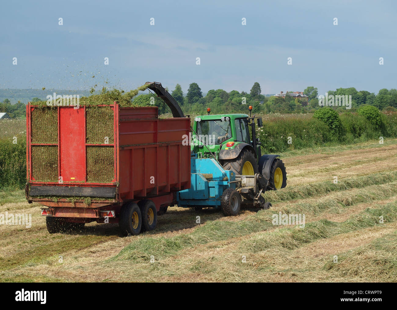collecting mown grass with tractor and trailer Stock Photo - Alamy