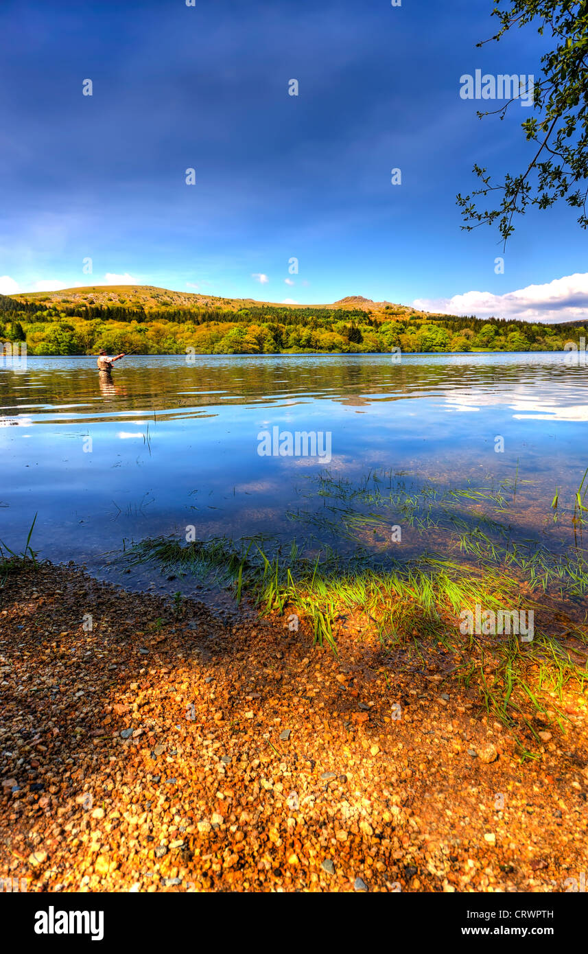 Burrator reservoir dartmoor national park hi-res stock photography and ...