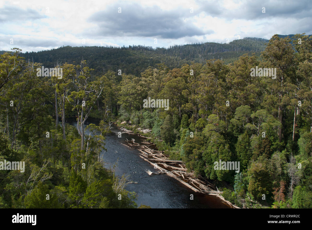 Stunning views of the Huon river, taken from the Tahune Forest Air Walk ...