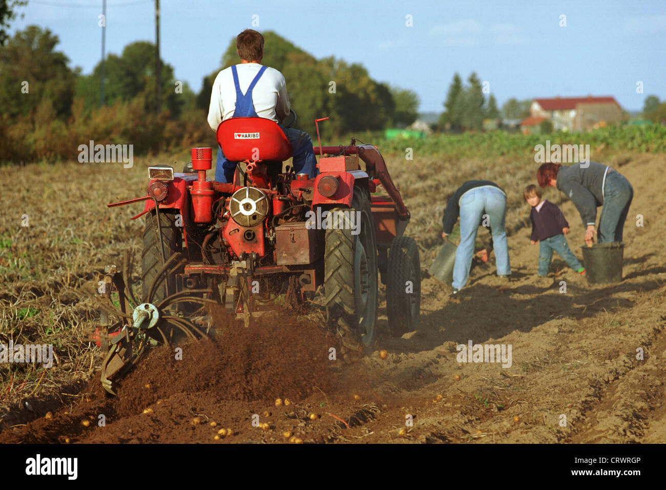 Potato pickers hi-res stock photography and images - Alamy
