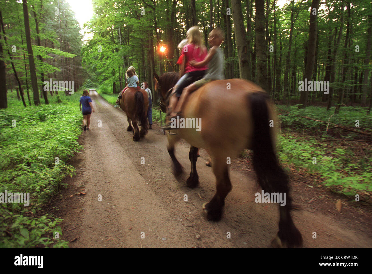Children at a riding excursion in the woods Stock Photo - Alamy