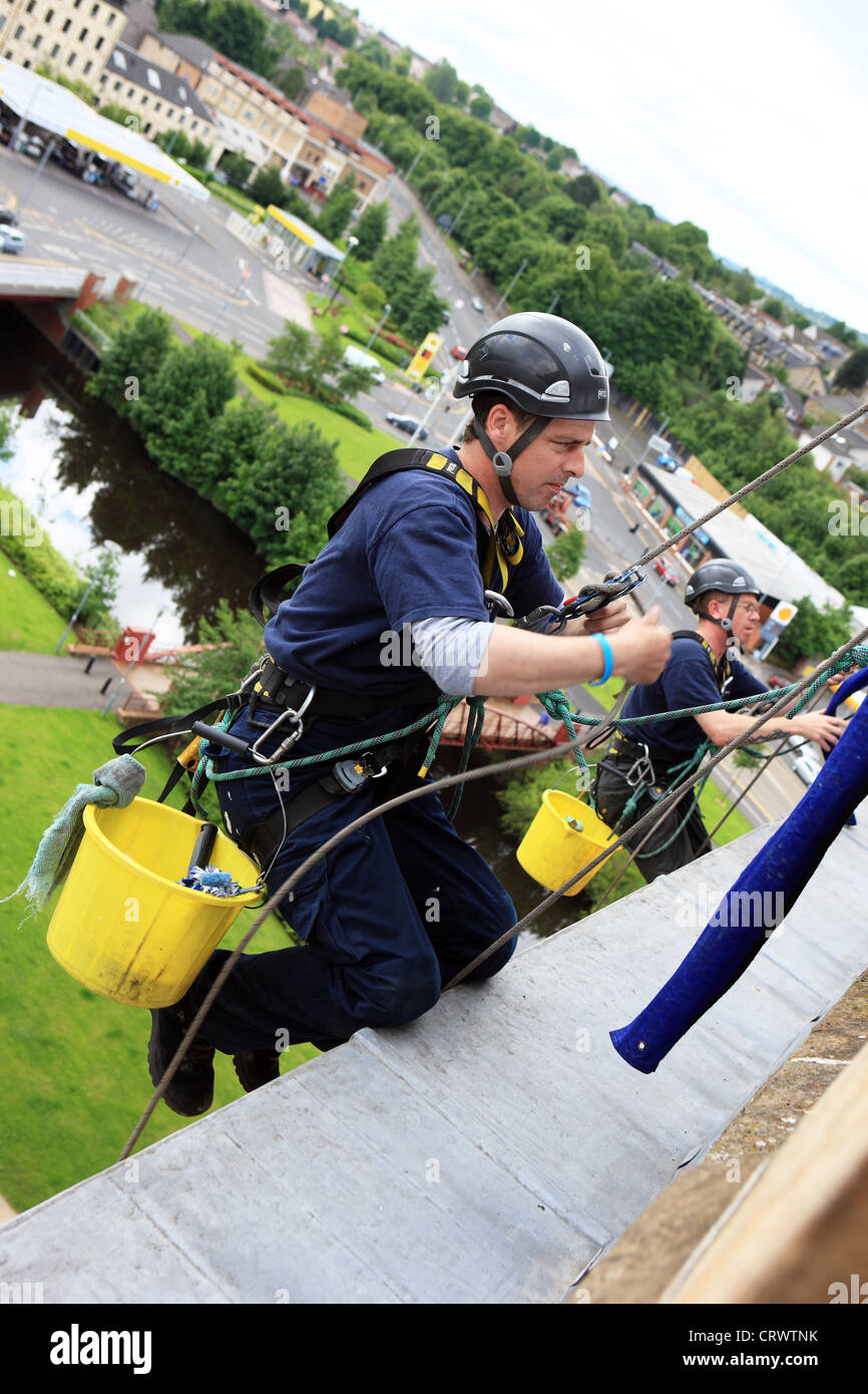 Abseilers cleaning windows on building Stock Photo - Alamy