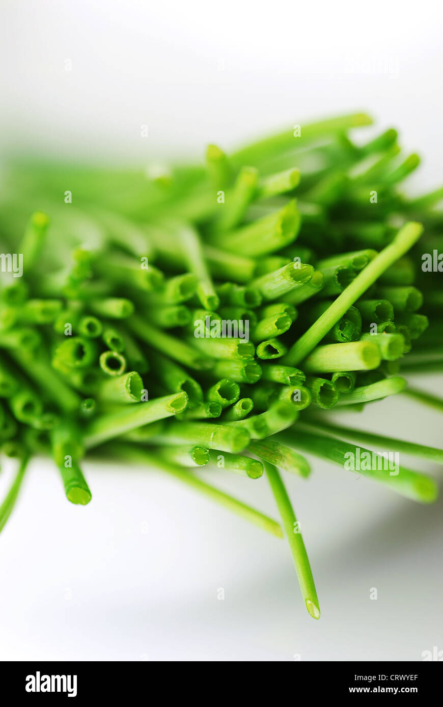 A bunch of fresh chives Stock Photo - Alamy