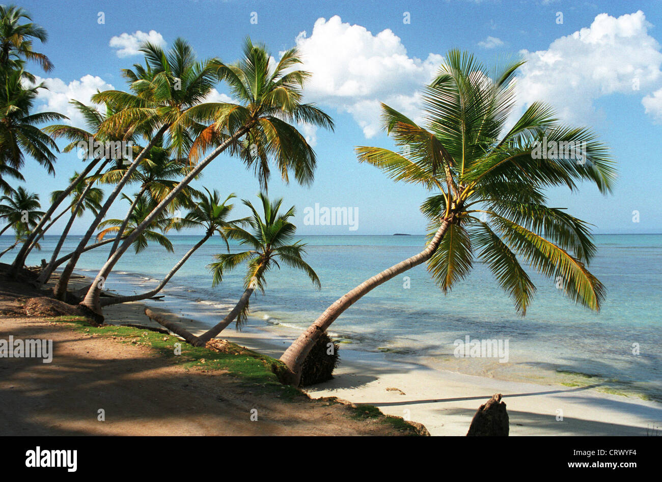 Caribbean beach playa bonita hi-res stock photography and images - Alamy
