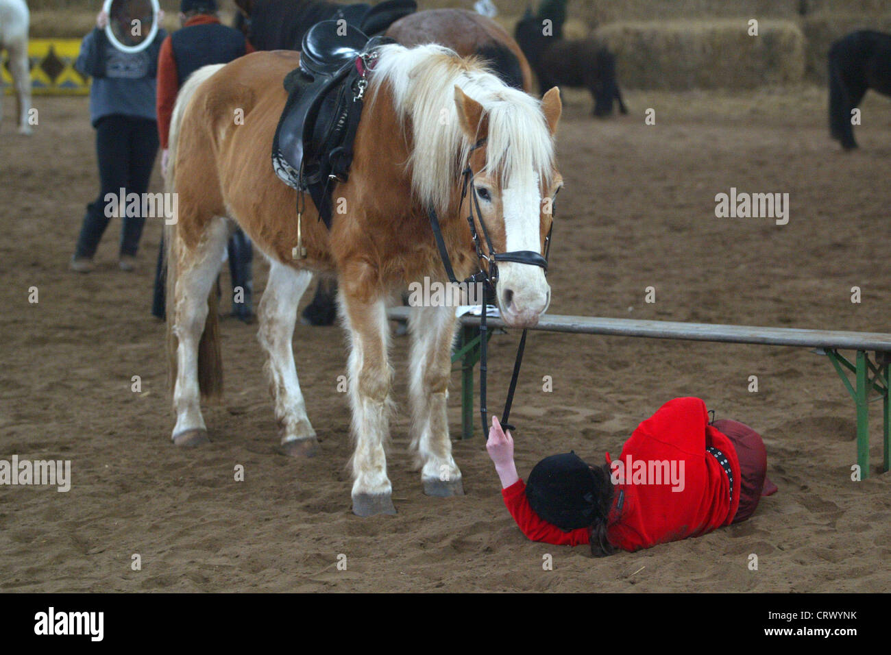 Horse riding accident hi-res stock photography and images - Alamy
