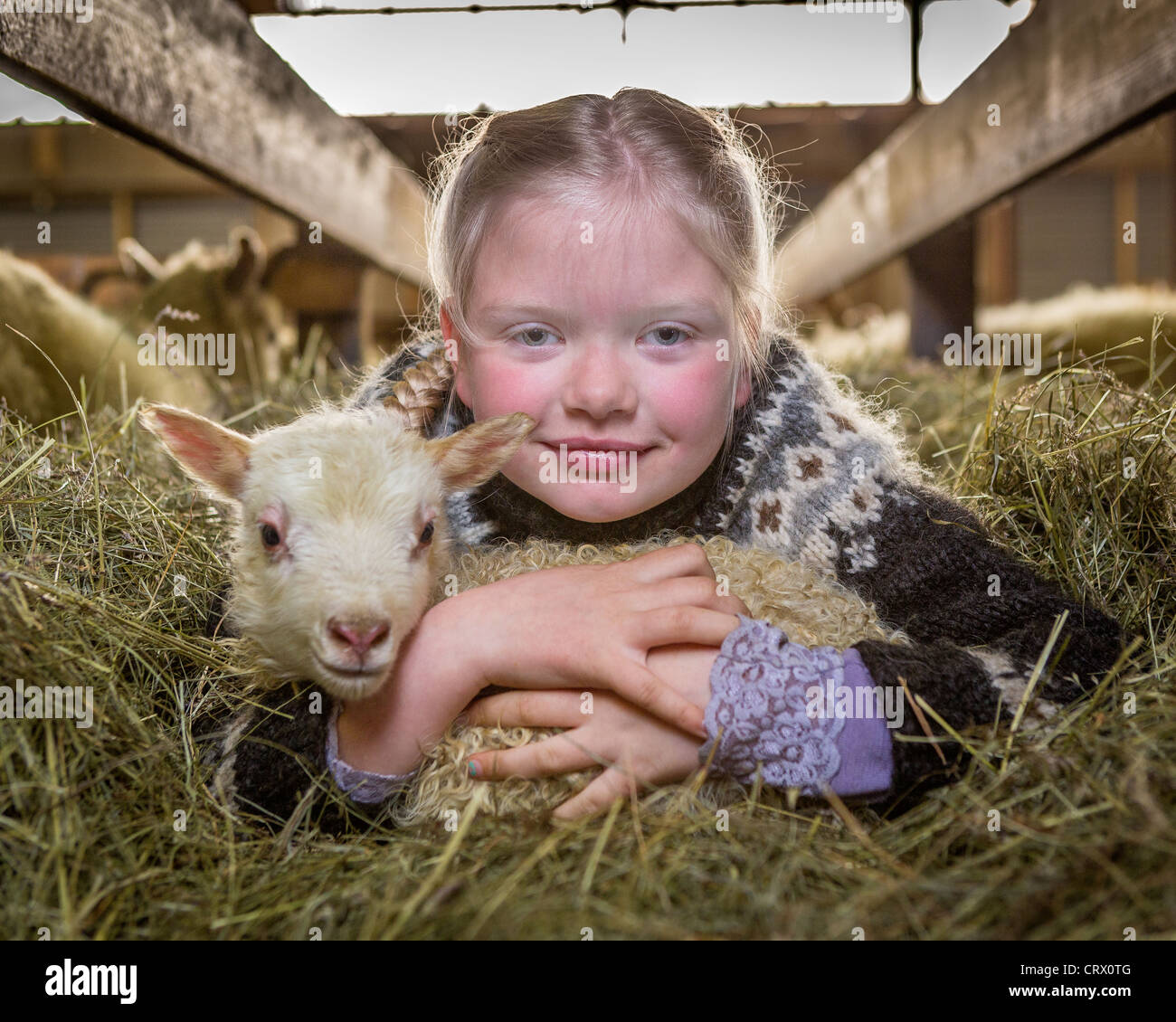 Girl on farm with young lamb, Western Iceland Stock Photo - Alamy