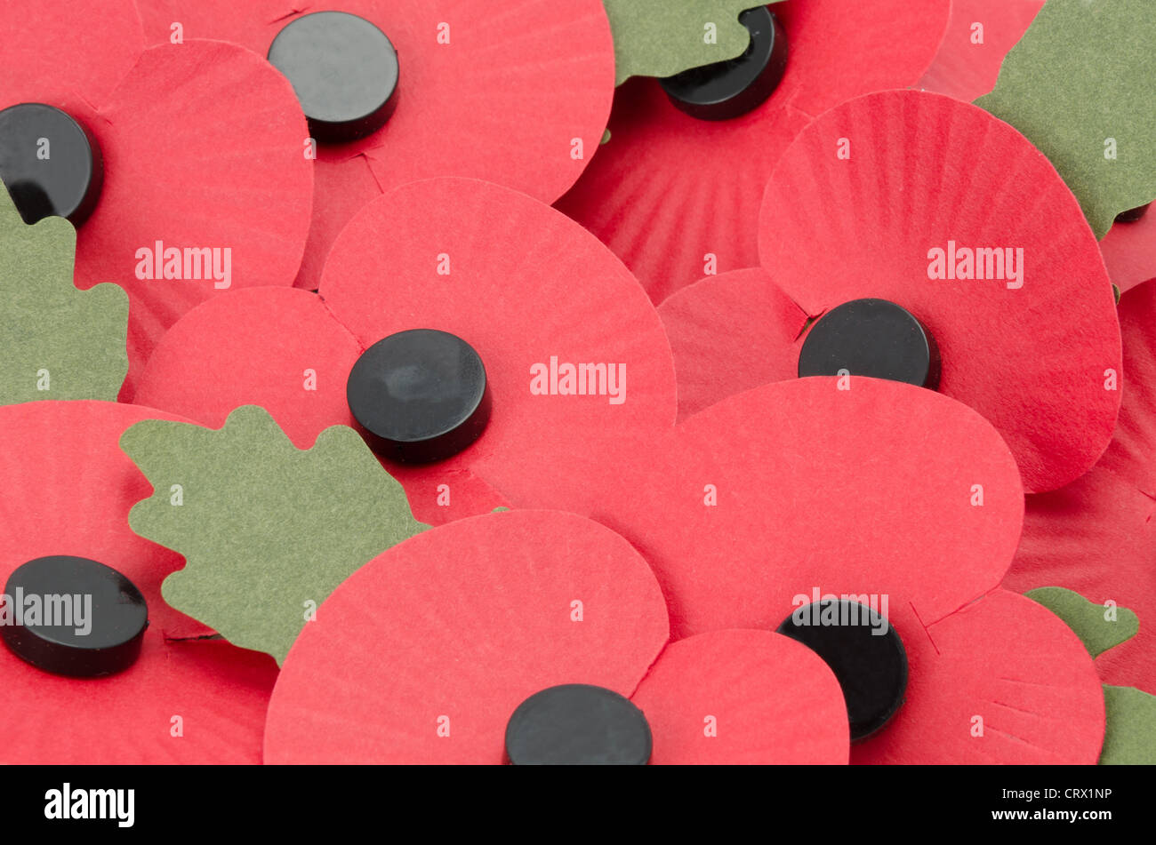 Remembrance day poppies grouped together to form a background image ...