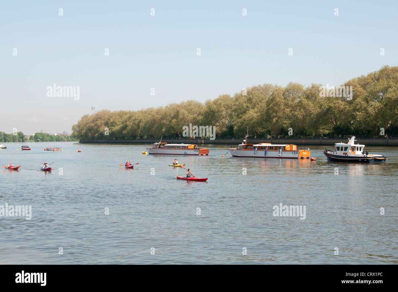 Upper reaches of Thames River at Putney,Canoeing,Canoeists,Paddling ...