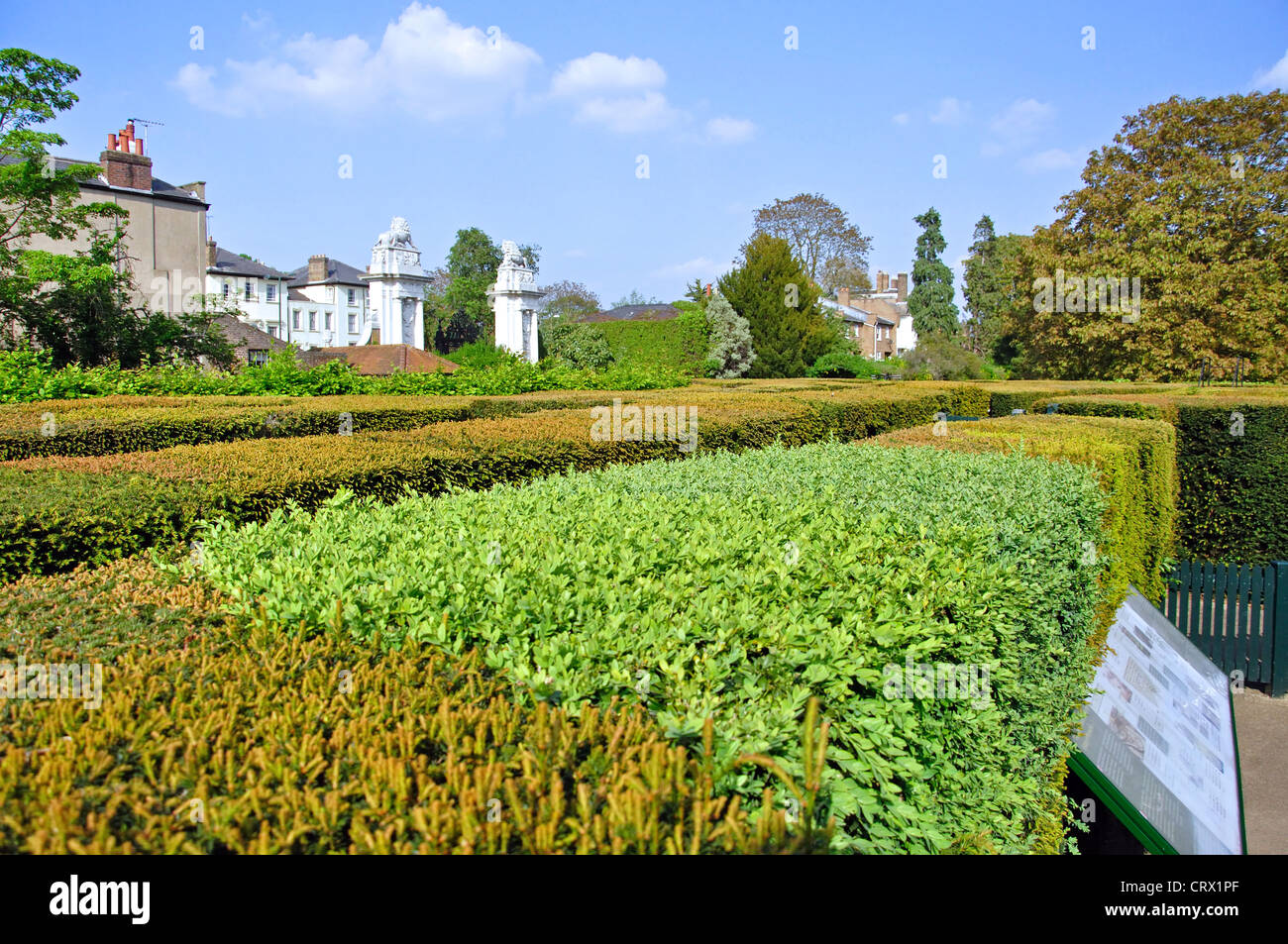 Hampton court palace maze hi-res stock photography and images - Alamy
