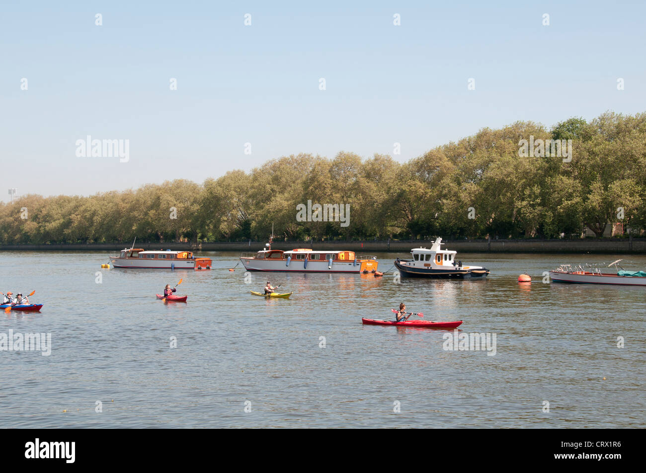Upper reaches of Thames River at Putney,Canoeing,Canoeists,Paddling ...