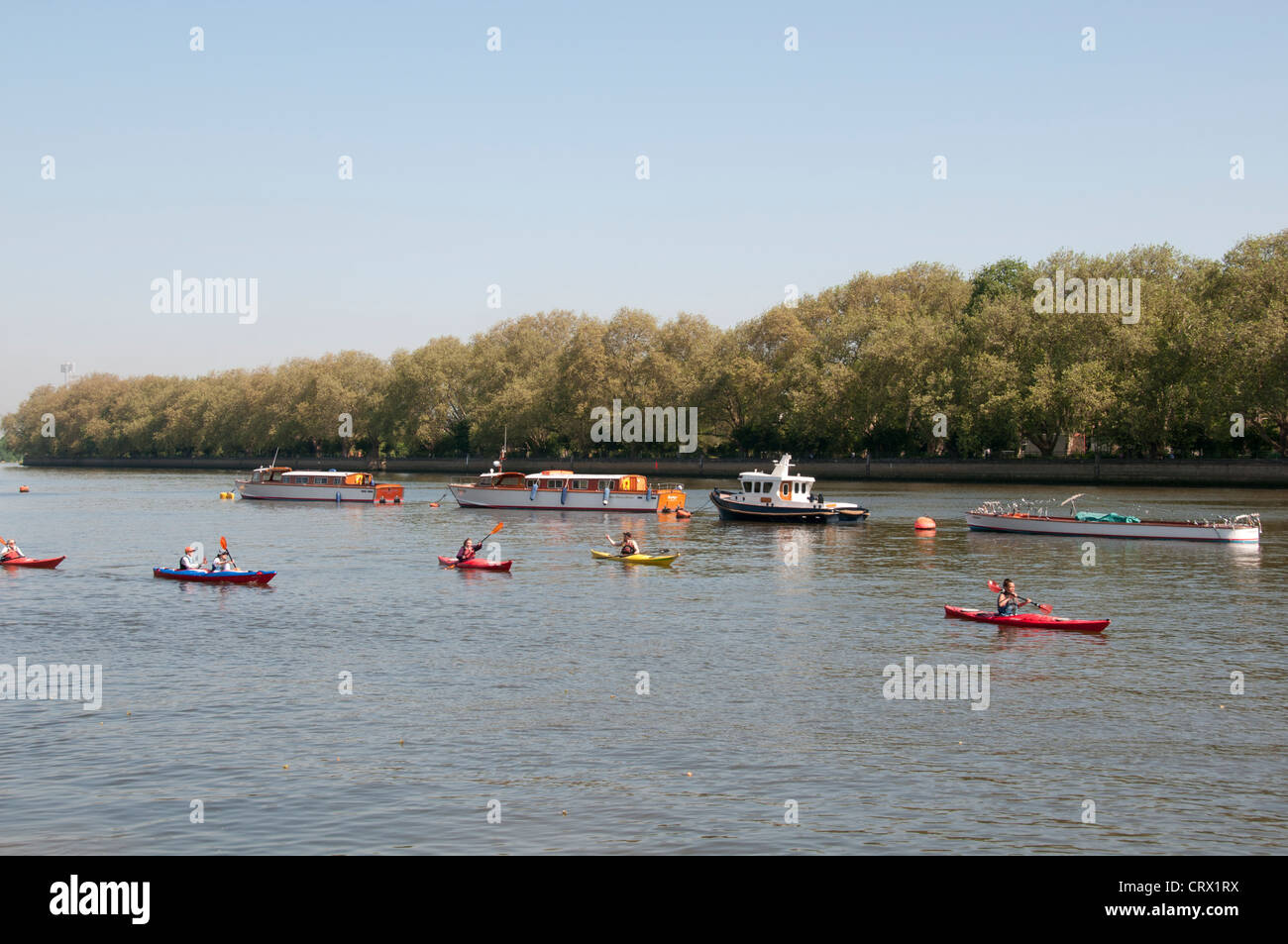 Upper reaches of Thames River at Putney,Canoeing,Canoeists,Paddling ...
