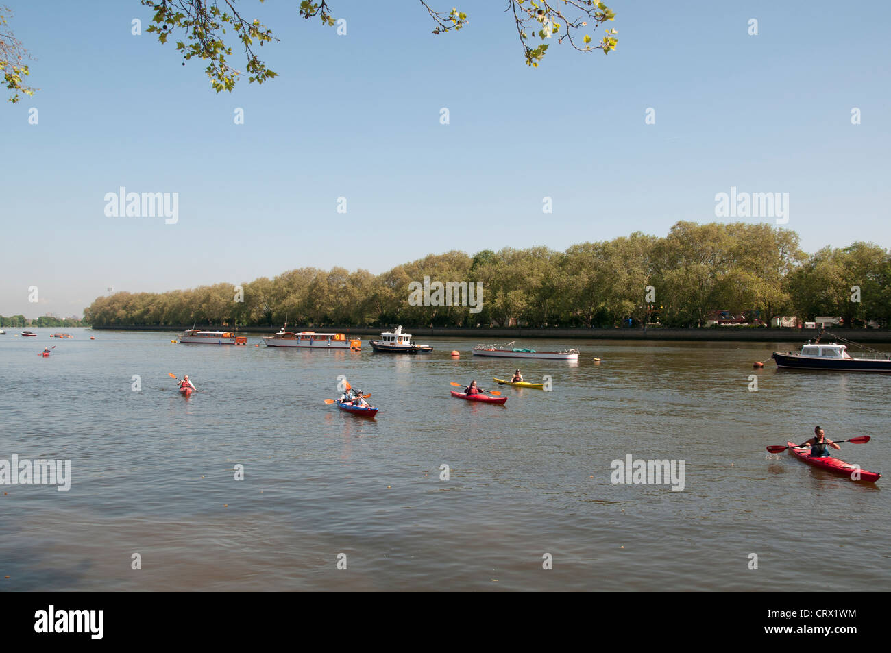 Upper reaches of Thames River at Putney,Canoeing,Canoeists,Paddling ...