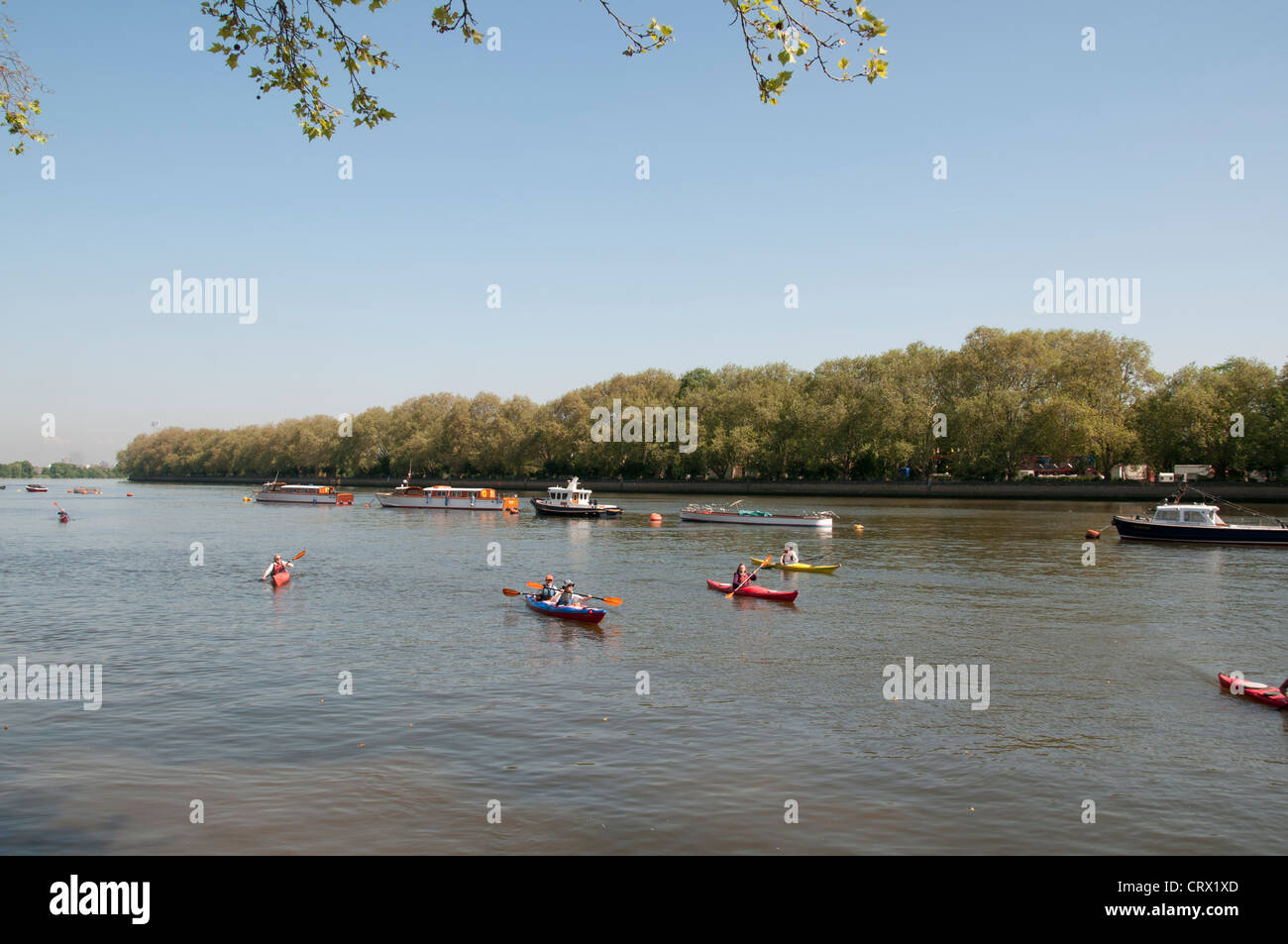 Upper reaches of Thames River at Putney,Canoeing,Canoeists,Paddling ...