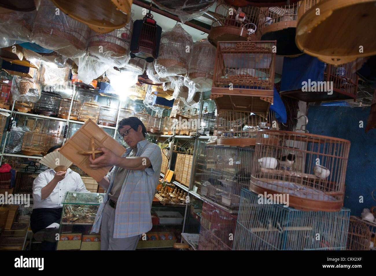 Insect and Bird market, in Shanghai, China Stock Photo - Alamy