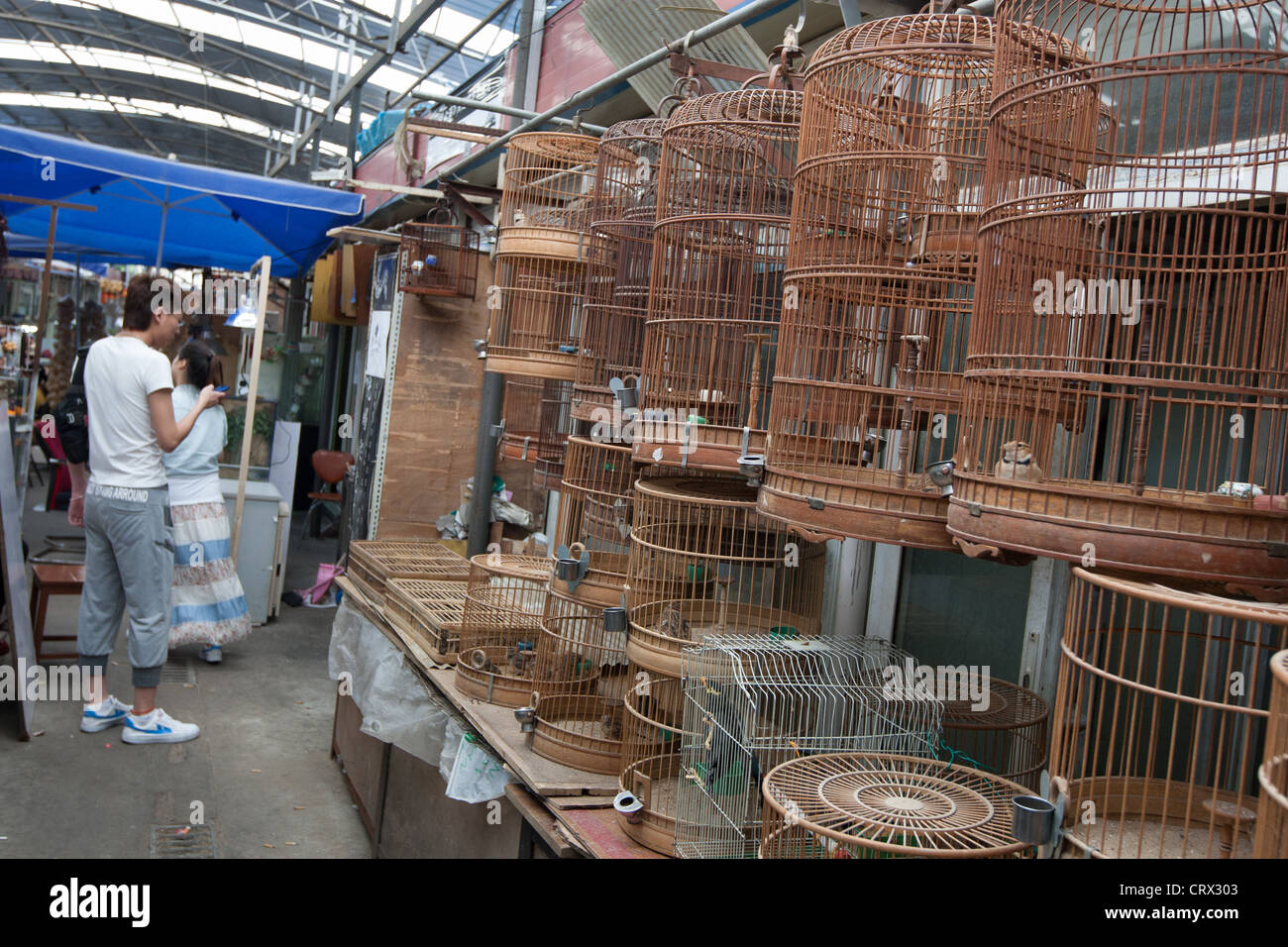 Insect and Bird market, in Shanghai, China Stock Photo - Alamy