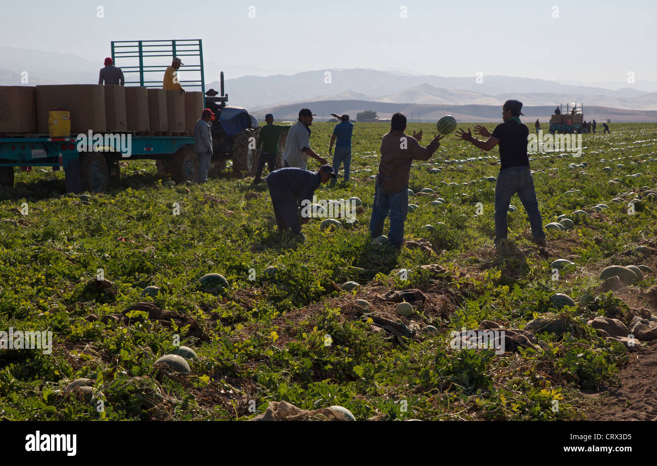 Watermelon valley hi-res stock photography and images - Alamy
