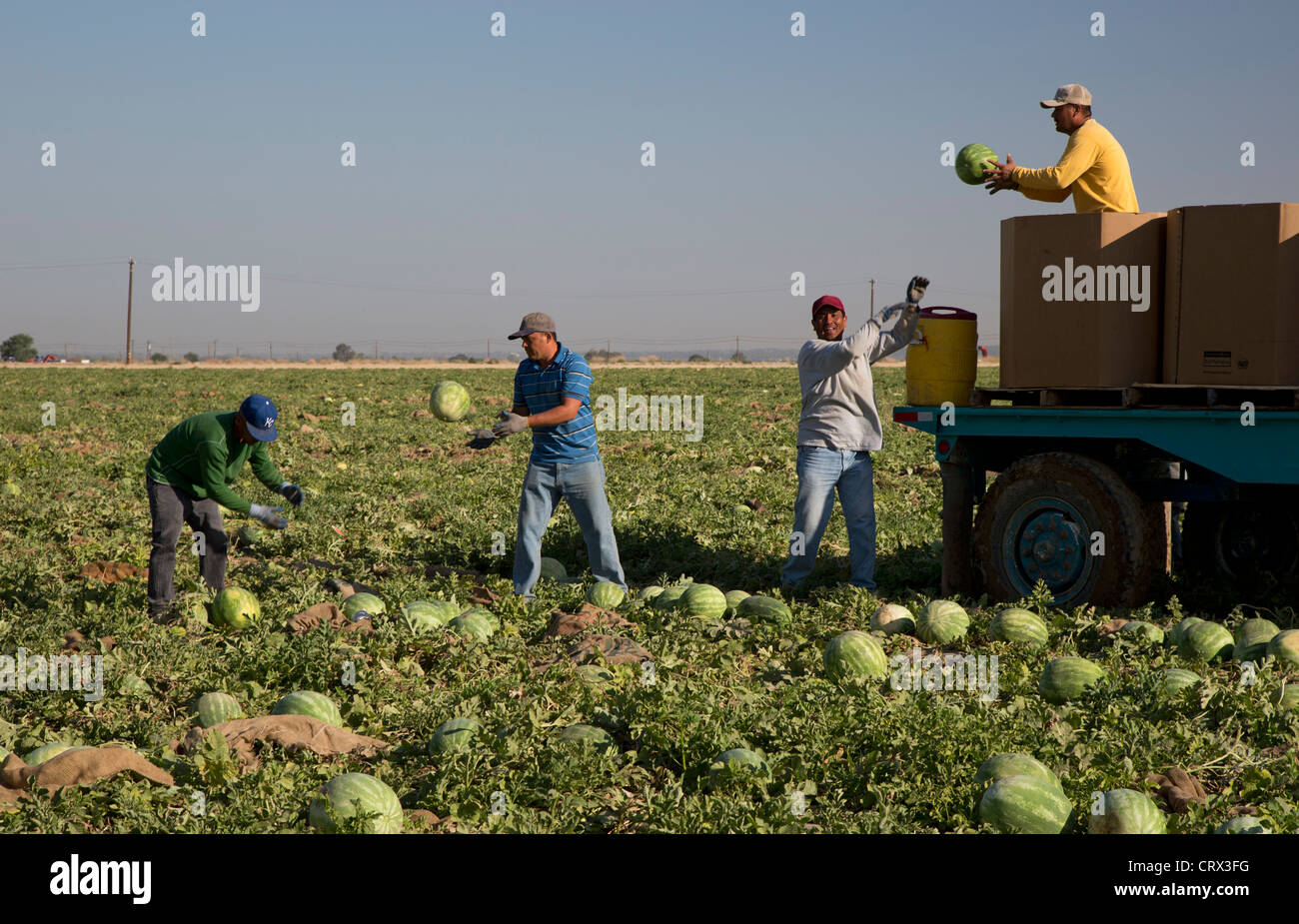 Watermelon valley hi-res stock photography and images - Alamy