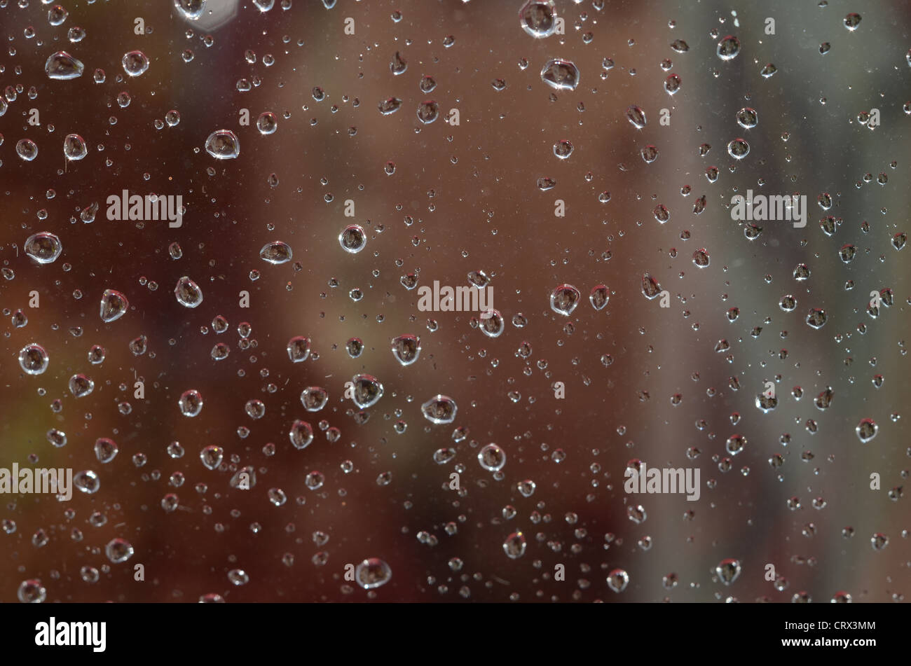 Rain Drops on a window Stock Photo - Alamy