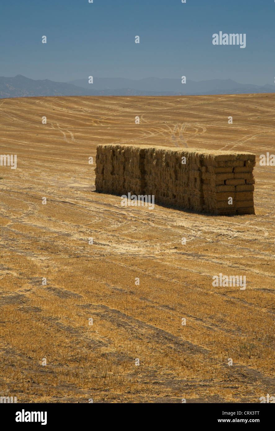Richgrove, California - Hay stacked in a field in the San Joaquin ...