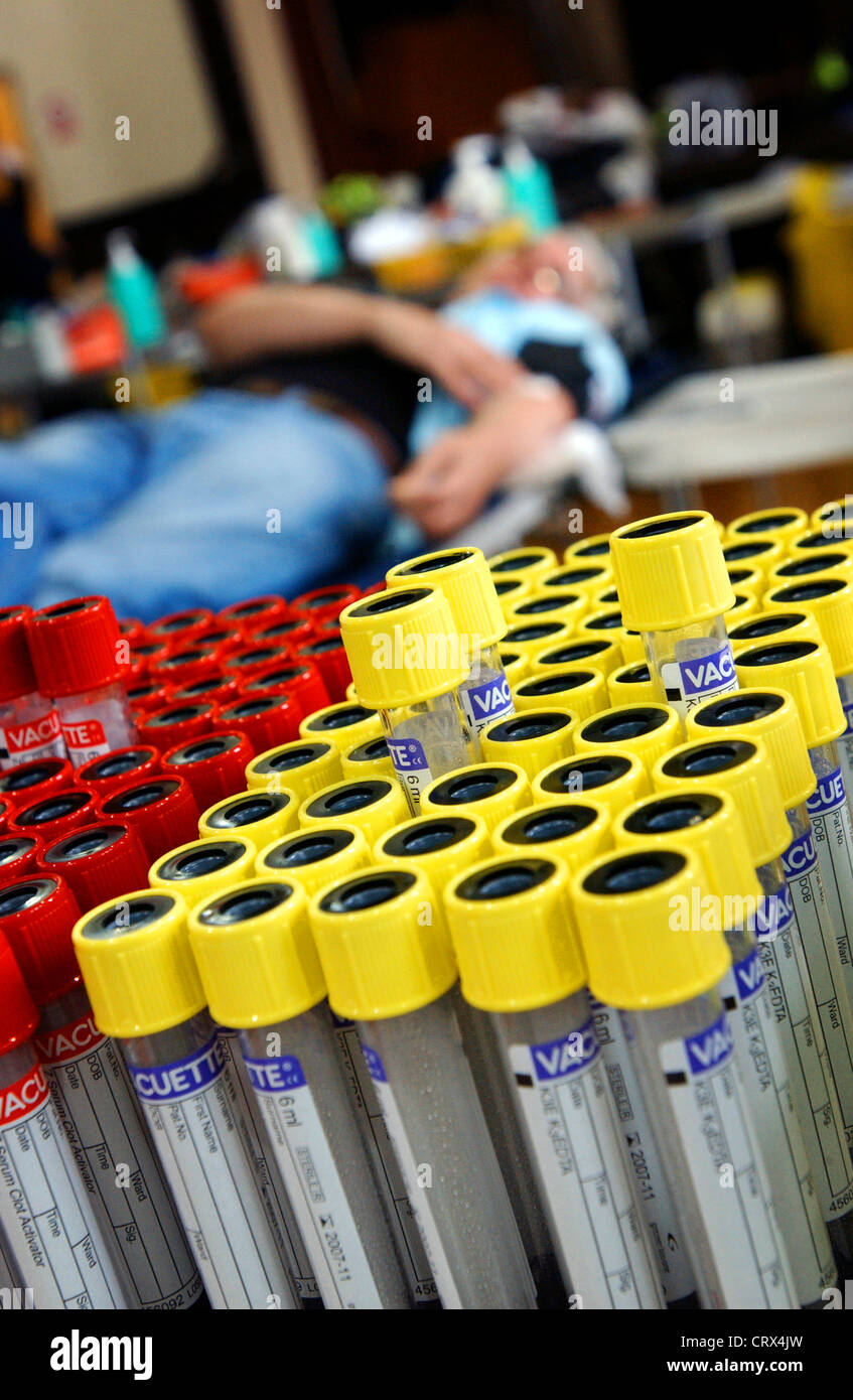 A rack of blood samples in Vacutainer test tubes Stock Photo - Alamy