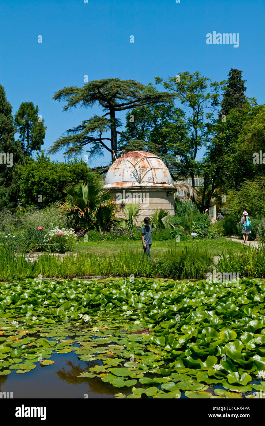 The Botanic Garden,Montpellier, Herault, Languedoc-Roussillon, France ...