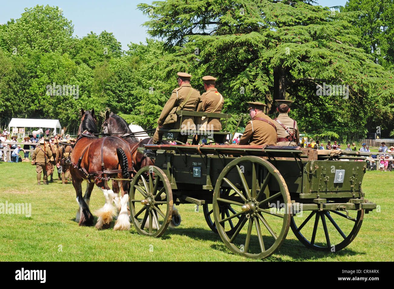World war one horses hi-res stock photography and images - Alamy