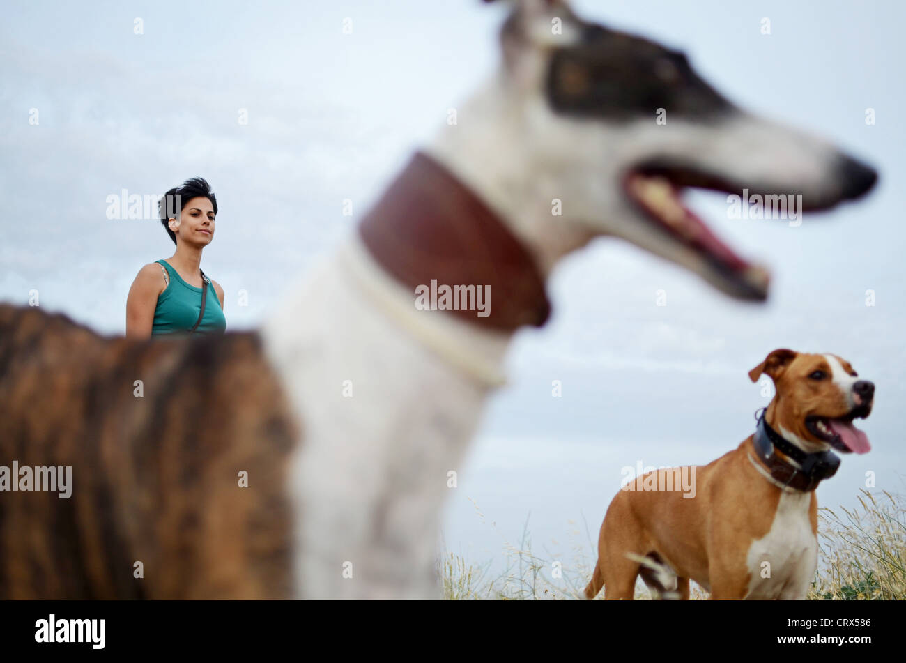 Young woman with two dogs in nature Stock Photo - Alamy