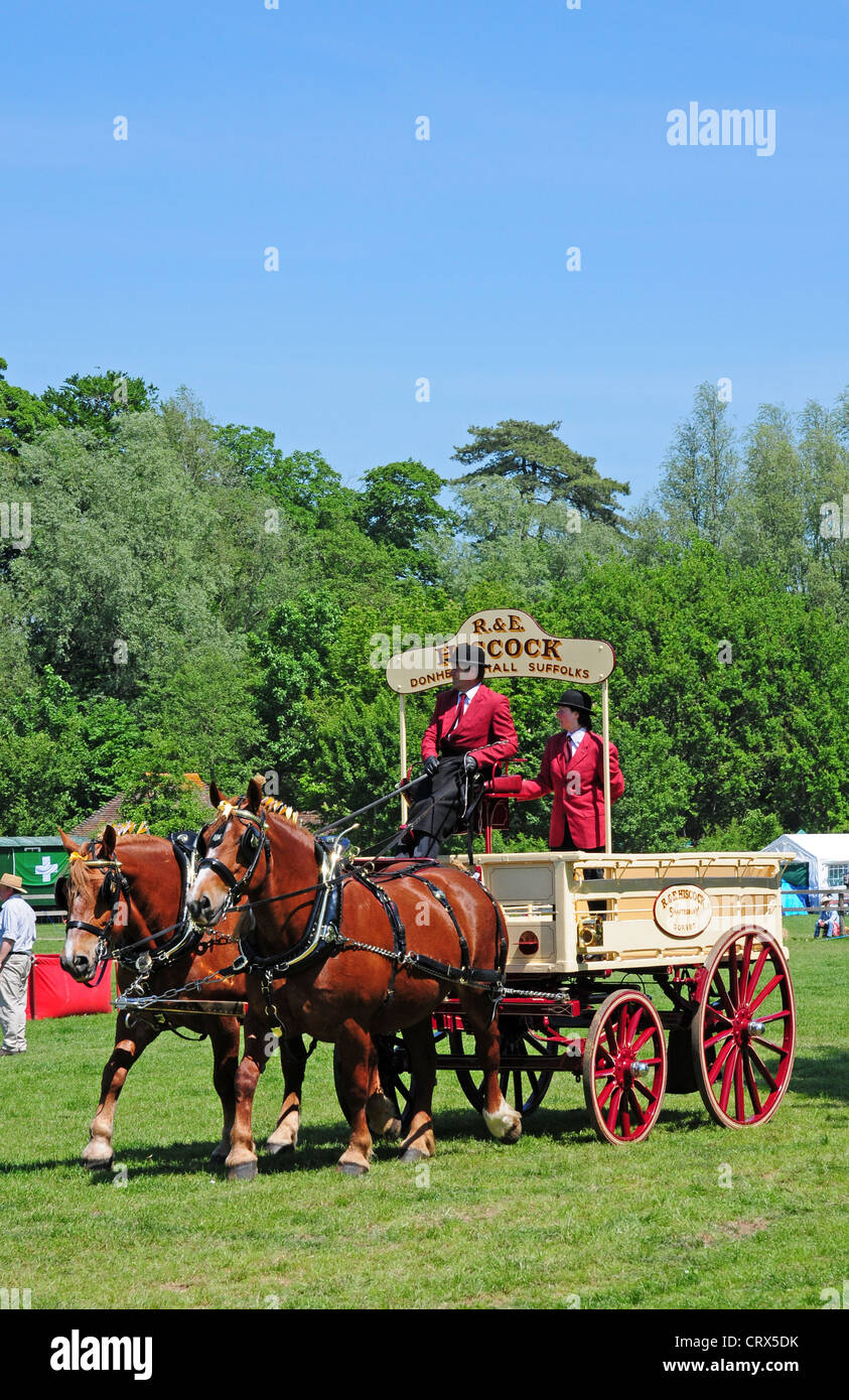 Two Suffolk Punch horses pulling a Great Western Railway dray Stock ...