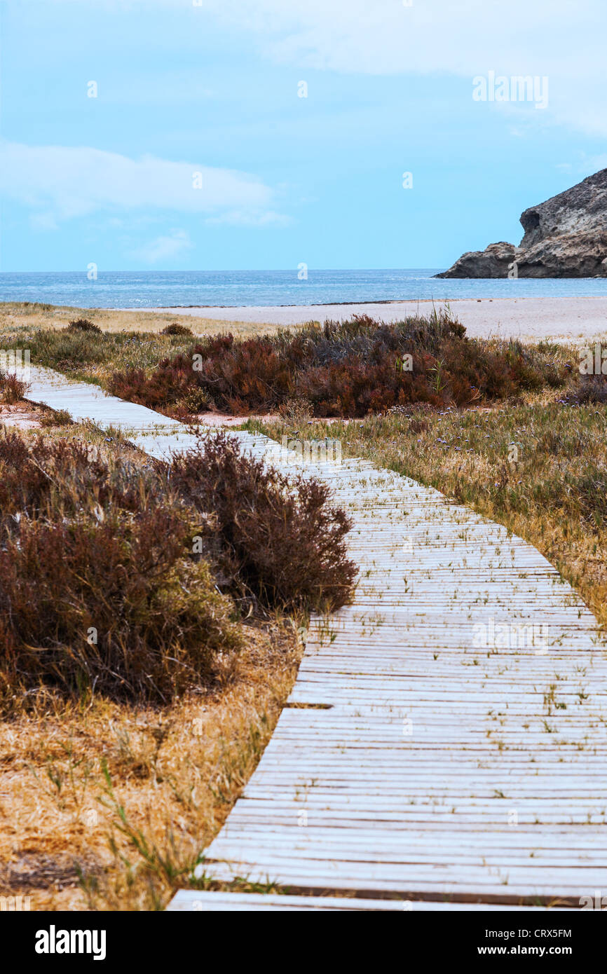 lonely path to precious beach Stock Photo - Alamy