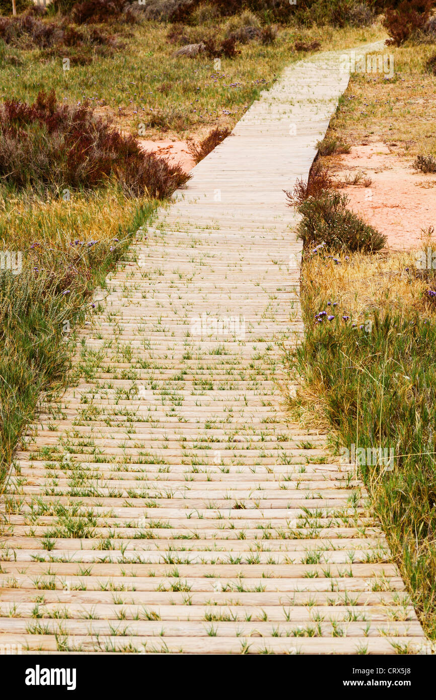 wooden way surrounded by greenery Stock Photo - Alamy
