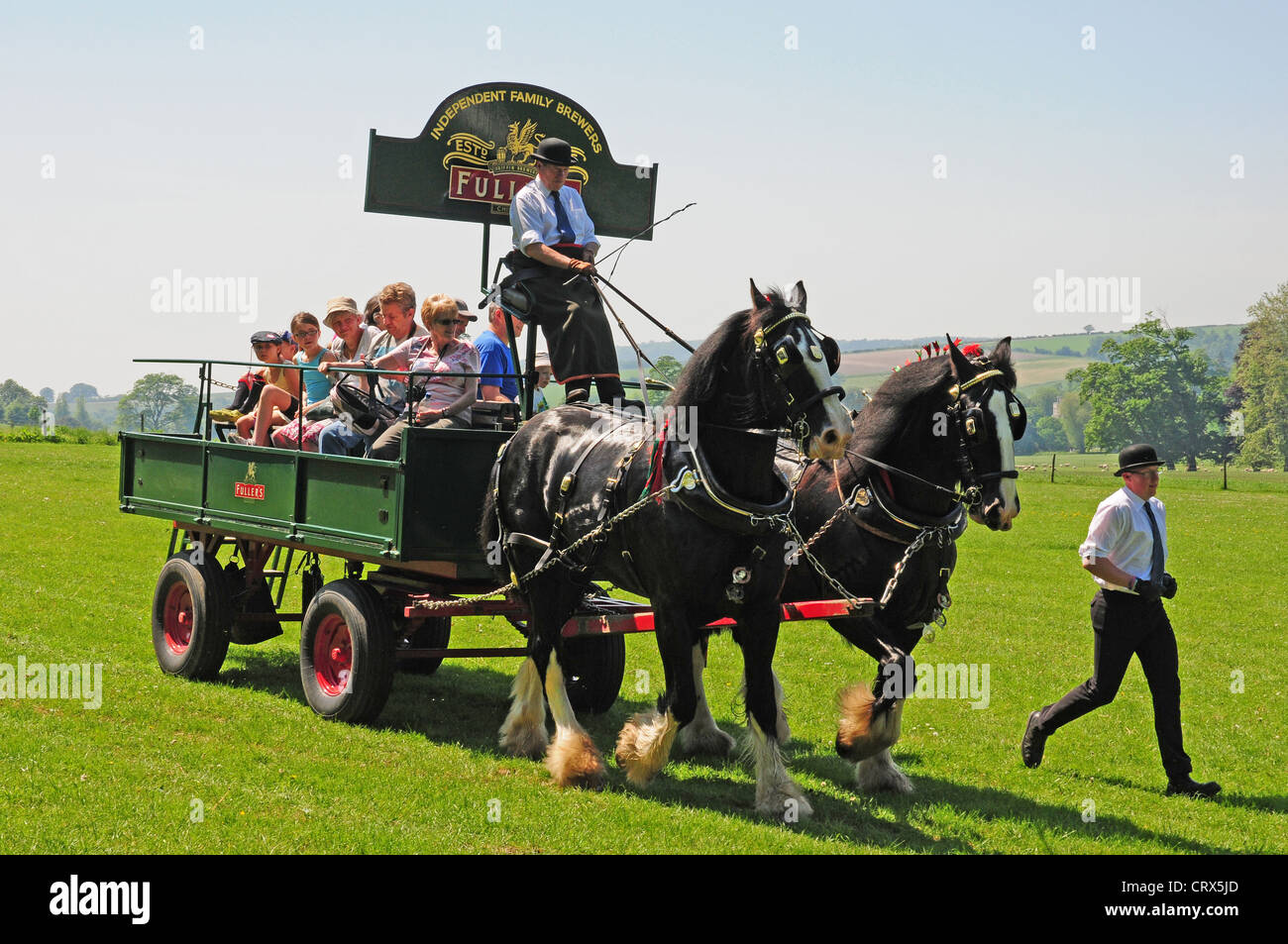 Traditional shire horses hi-res stock photography and images - Alamy