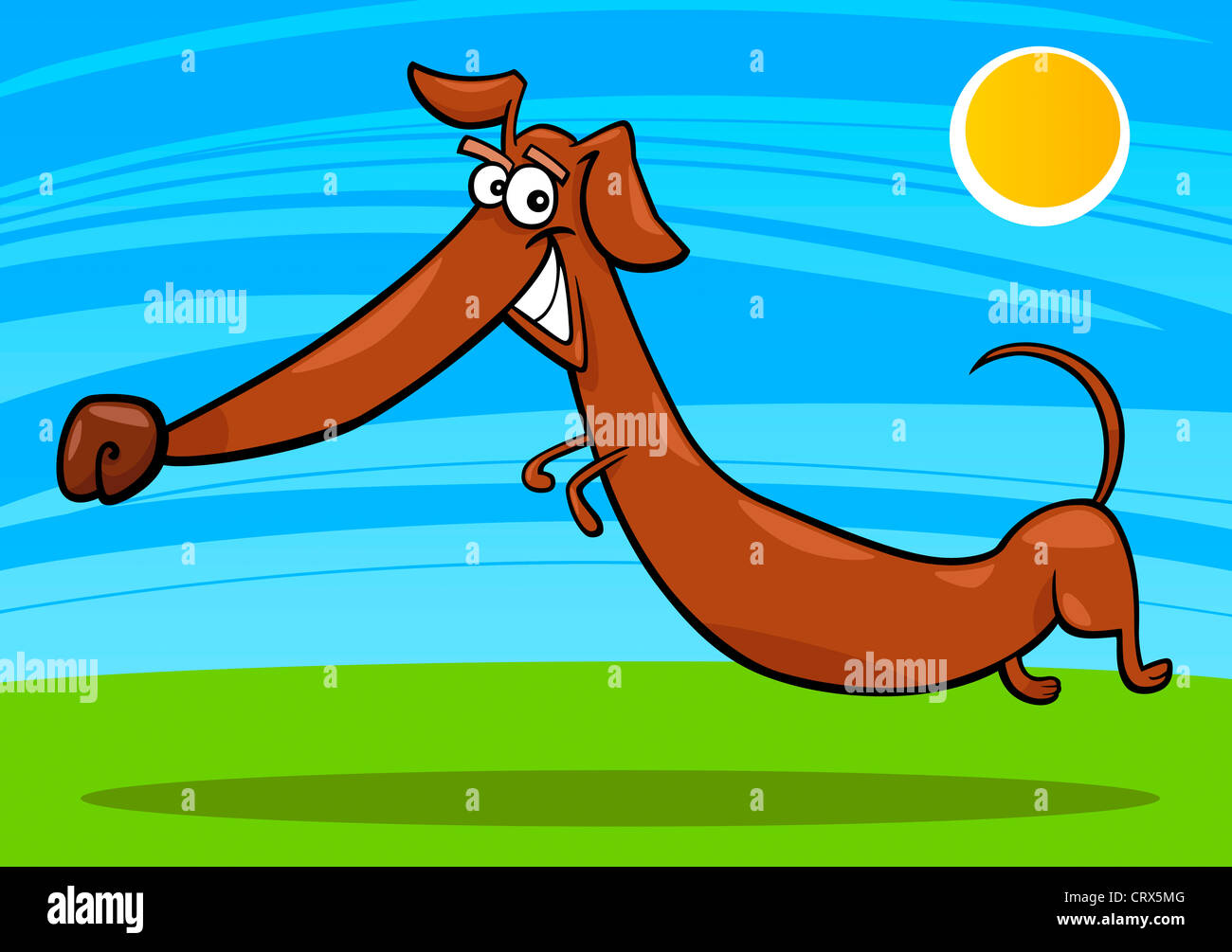 cartoon illustration of happy jumping dachshund dog Stock Photo - Alamy